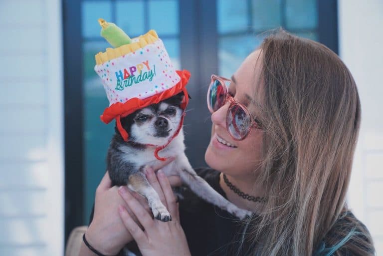 YouTuber Jenna Marbles’ Wiki: Net Worth, Dog, Boyfriend Julien Solomita