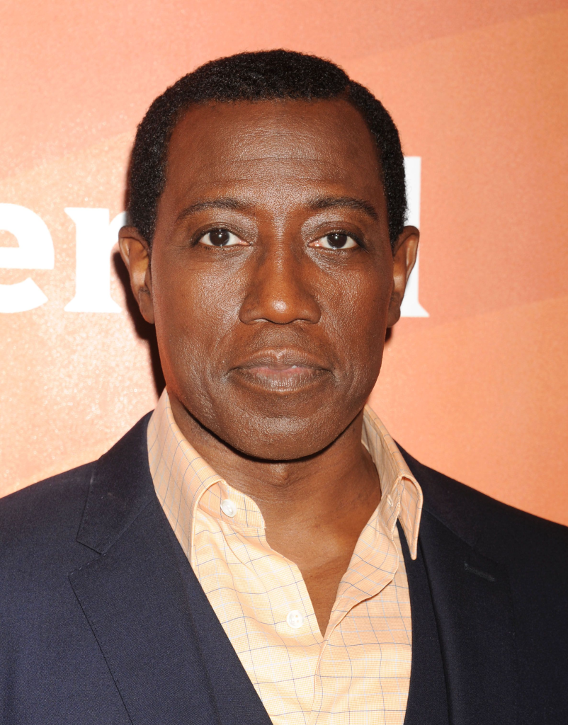 Wesley Snipes' Wife Nakyung Park Wiki: Children, Net Worth, Age