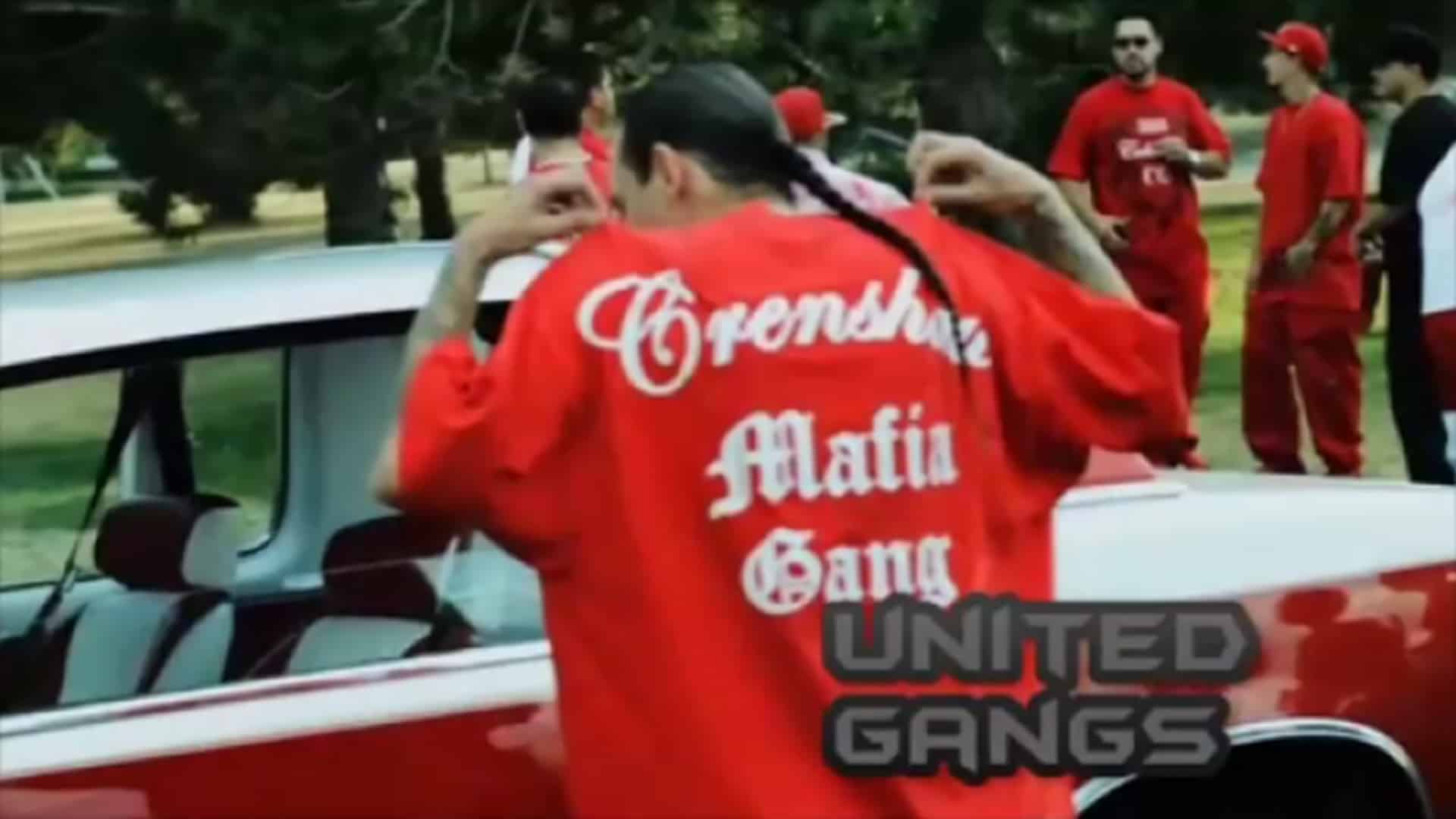 What is Crenshaw Mafia known for? Their Crimes, Members, Wiki